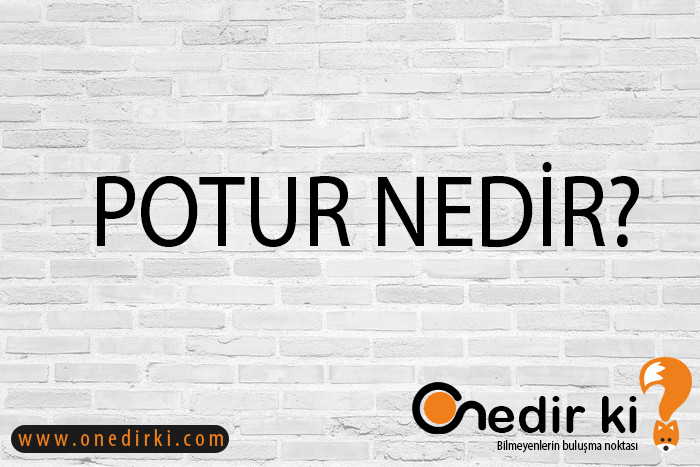 POTUR NEDİR? | Kelime Bulucu-Nedir Nedemek -Zıt Anlamı-Eş Anlamı