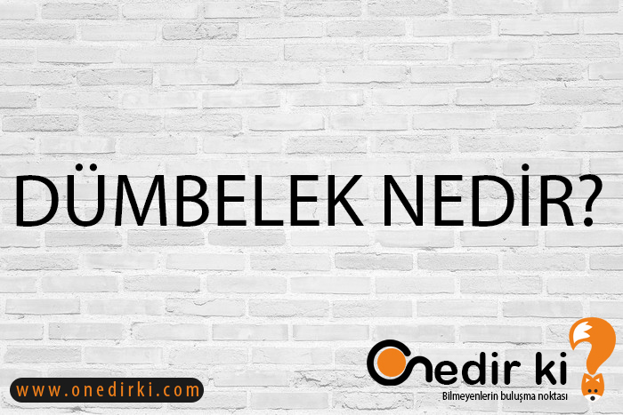 DÜMBELEK NEDİR? | Kelime Bulucu-Nedir Nedemek -Zıt Anlamı-Eş Anlamı