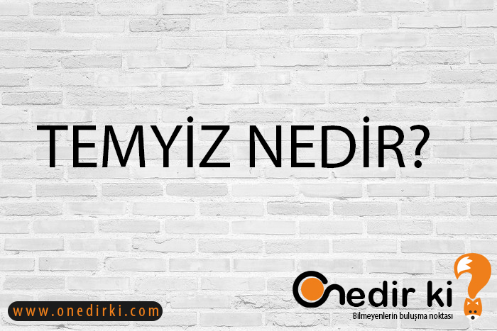TEMYİZ NEDİR? | Kelime Bulucu-Kelimelik Bulucusu-Nedir Nedemek -Zıt Anlamı-Eş Anlamı