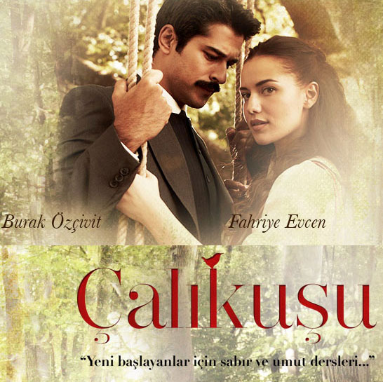 ÇALIKUŞU - Reşat Nuri Güntekin | Kelime Bulucu-Kelimelik Bulucusu-Nedir ...