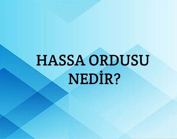 Hassa Ordusu Nedir? | Kelime Bulucu-Kelimelik Bulucusu-Nedir Nedemek ...