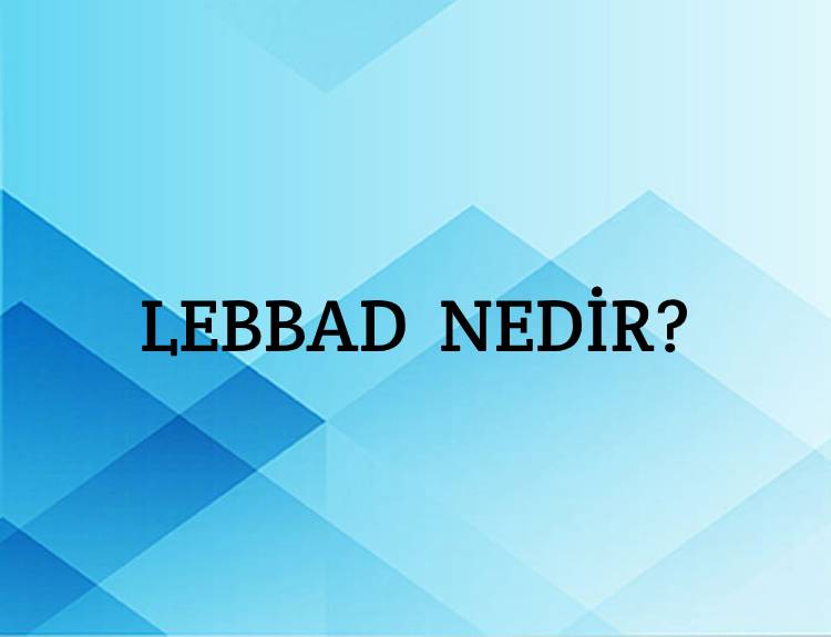 Lebbad Nedir? | Kelime Bulucu-Kelimelik Bulucusu-Nedir Nedemek -Zıt ...