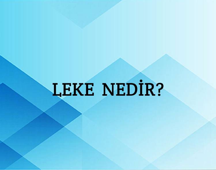 Leke Nedir? | Kelime Bulucu-Kelimelik Bulucusu-Nedir Nedemek -Zıt ...