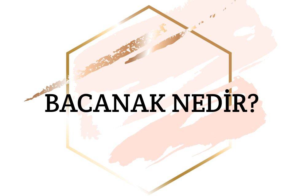 Bacanak Nedir? | Kelime Bulucu-Kelimelik Bulucusu-Nedir Nedemek -Zıt ...