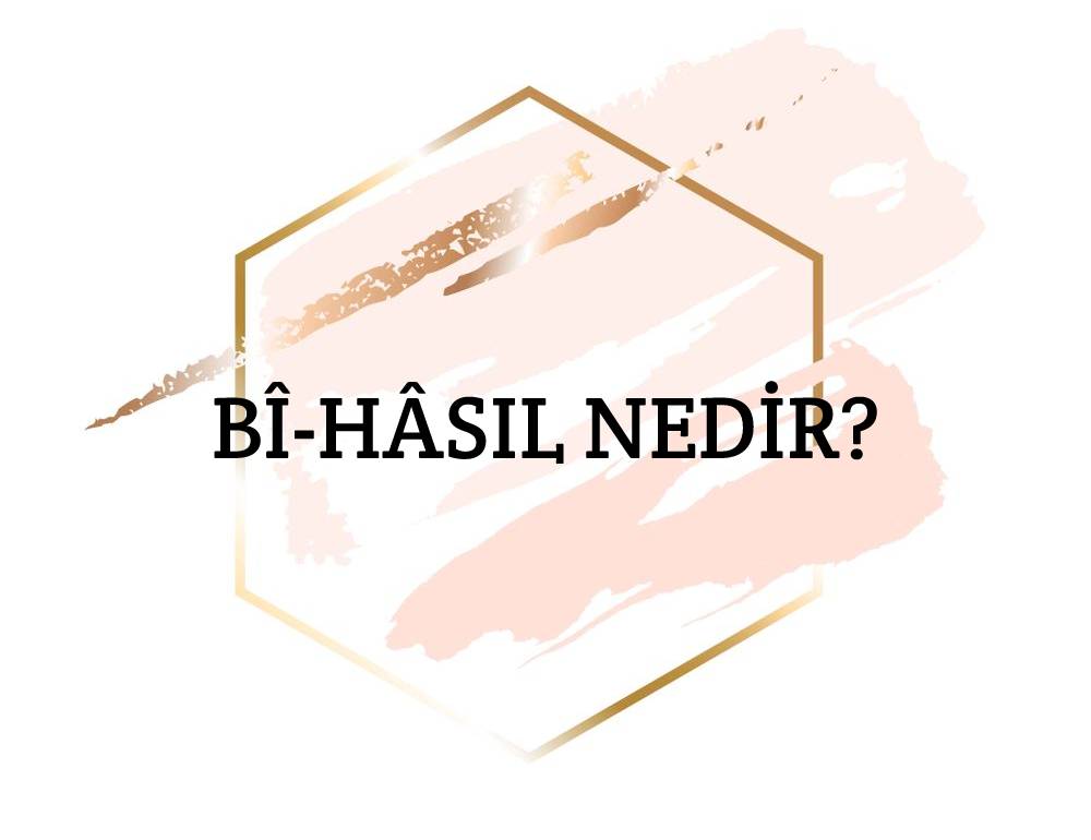Bî-hâsıl Nedir? | Kelime Bulucu-Kelimelik Bulucusu-Nedir Nedemek -Zıt ...