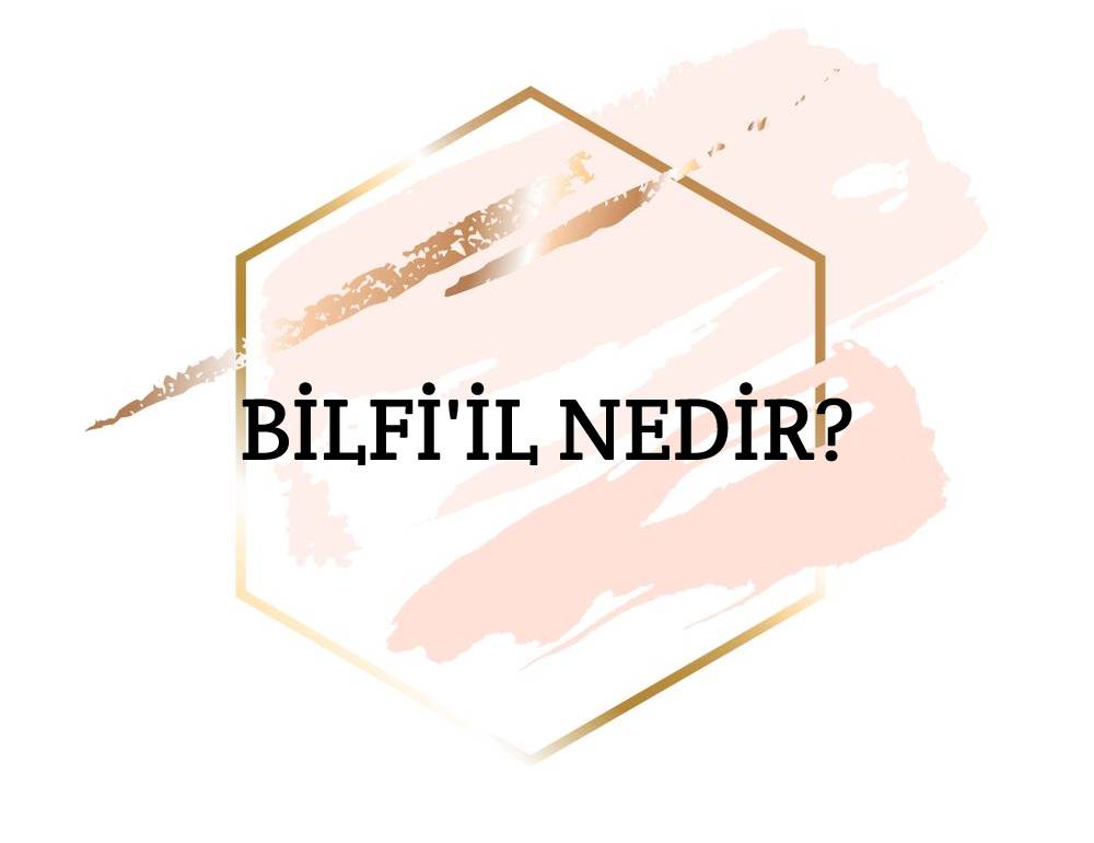 Bilfi'il Nedir? | Kelime Bulucu-Nedir Nedemek -Zıt Anlamı-Eş Anlamı