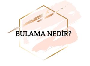 Bulama Nedir? | Kelime Bulucu-Kelimelik Bulucusu-Nedir Nedemek -Zıt ...