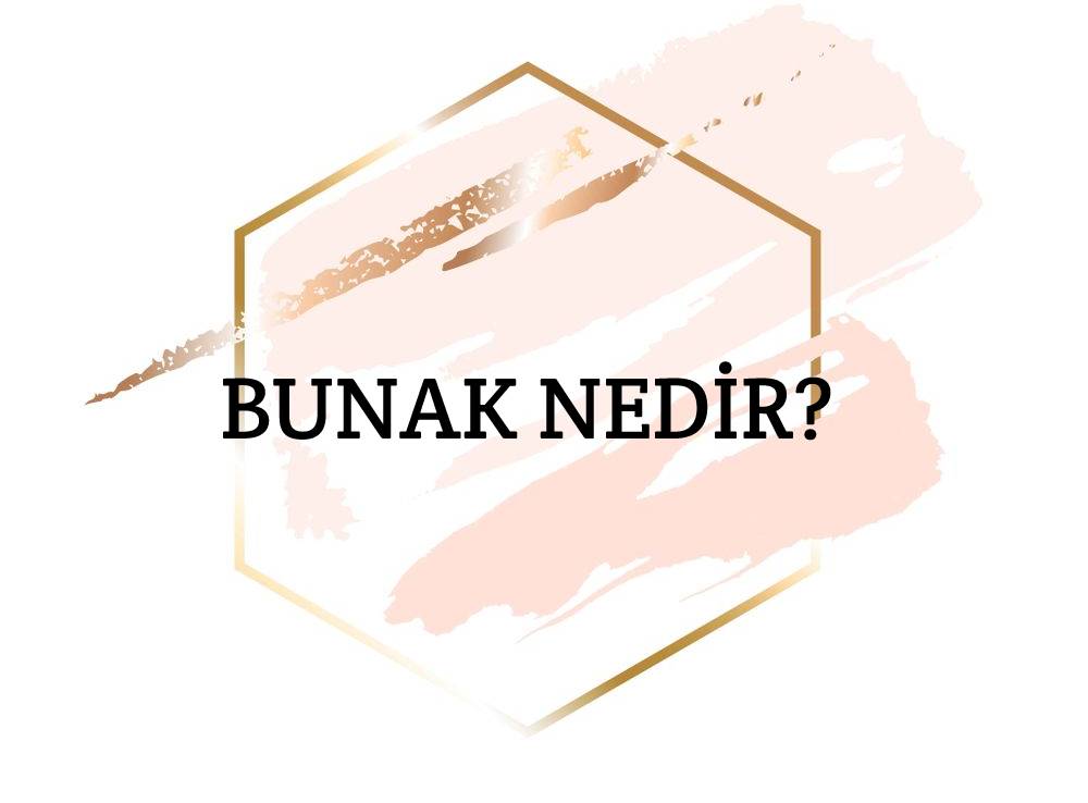 Bunak Nedir? - Ne Demek - Zıt Anlamı - Eş Anlamı