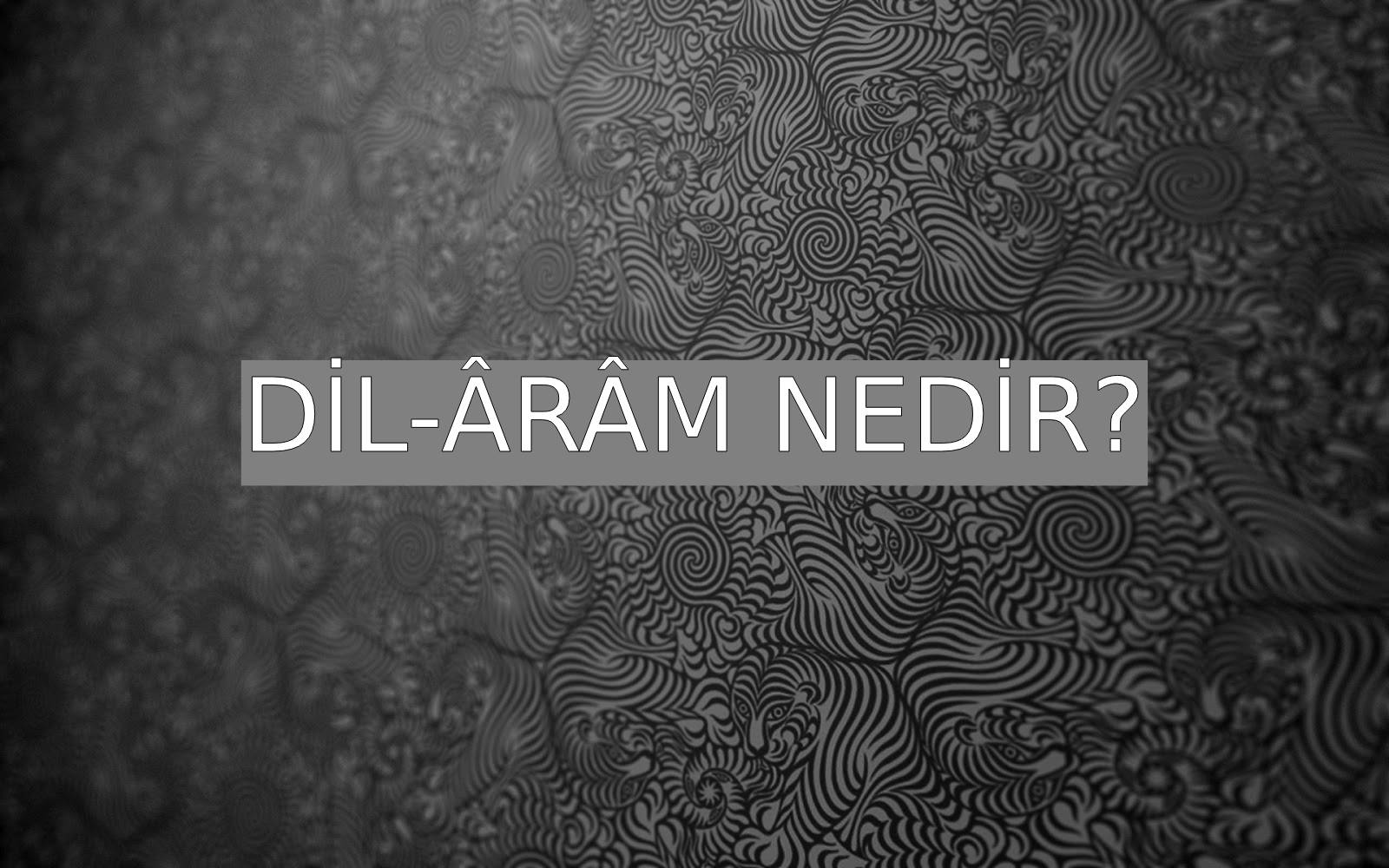 Dil-ârâm Nedir? | Kelime Bulucu-Kelimelik Bulucusu-Nedir Nedemek -Zıt ...