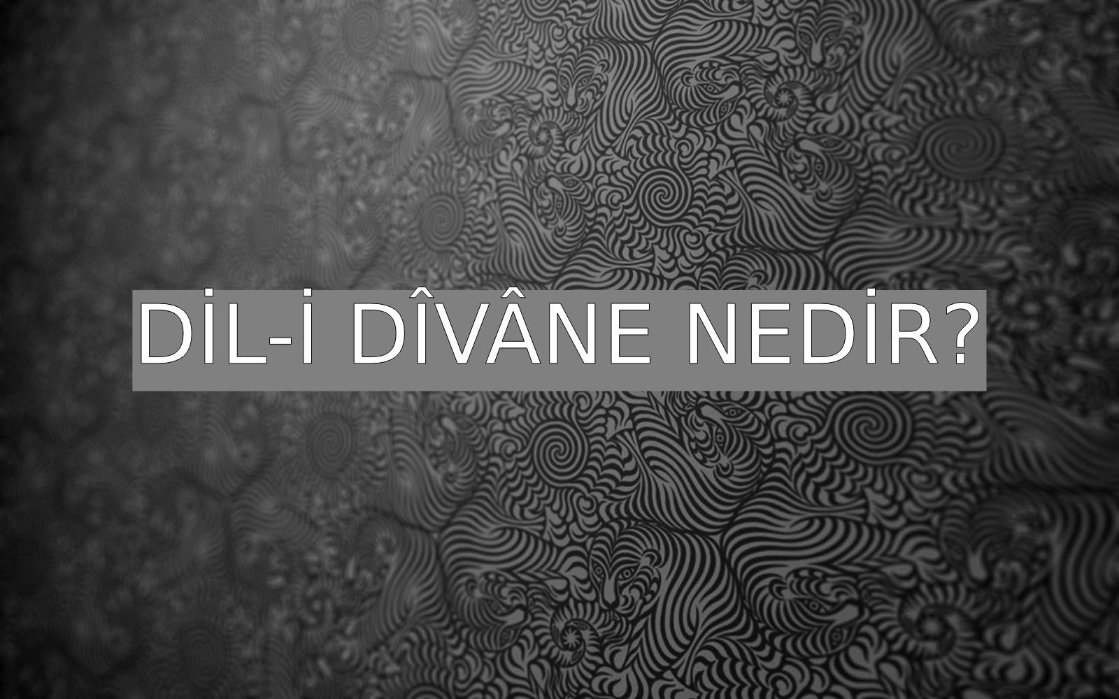 Dil-i Dîvâne Nedir? - Ne Demek - Zıt Anlamı - Eş Anlamı