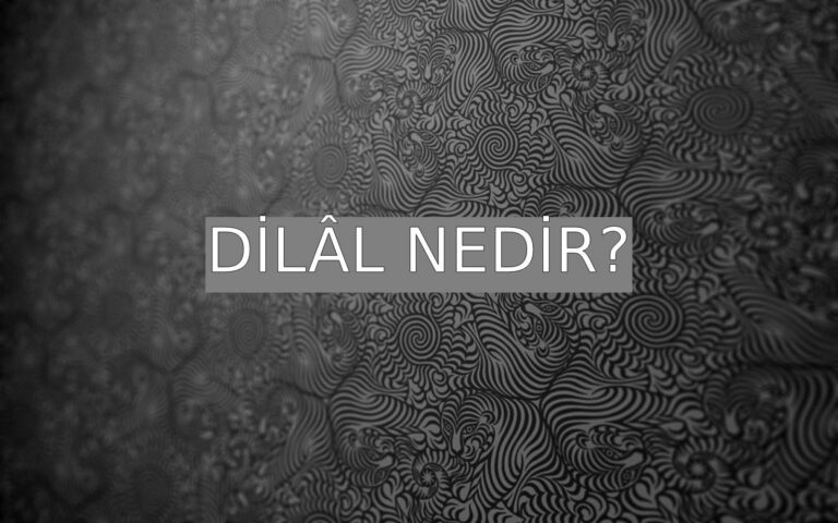 Dilâl Nedir? | Kelime Bulucu-Kelimelik Bulucusu-Nedir Nedemek -Zıt ...