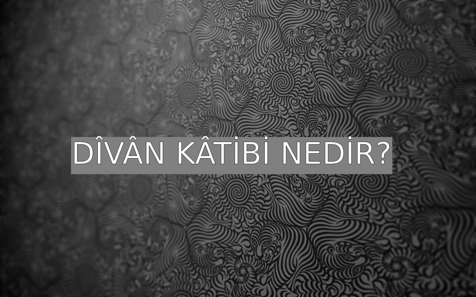 Divân Kâtibi Nedir? - Ne Demek - Zıt Anlamı - Eş Anlamı