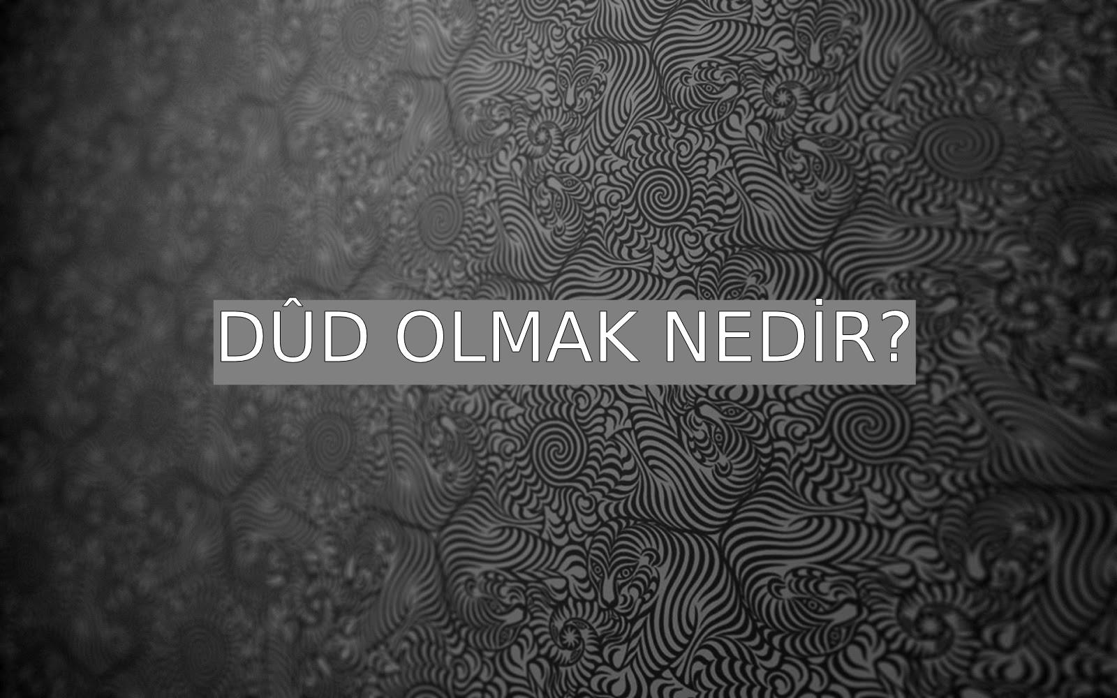 Dûd Nedir? - Ne Demek - Zıt Anlamı - Eş Anlamı