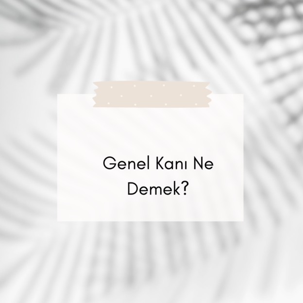Genel Kanı Ne Demek? | Kelime Bulucu-Kelimelik Bulucusu-Nedir Nedemek -Zıt Anlamı-Eş Anlamı