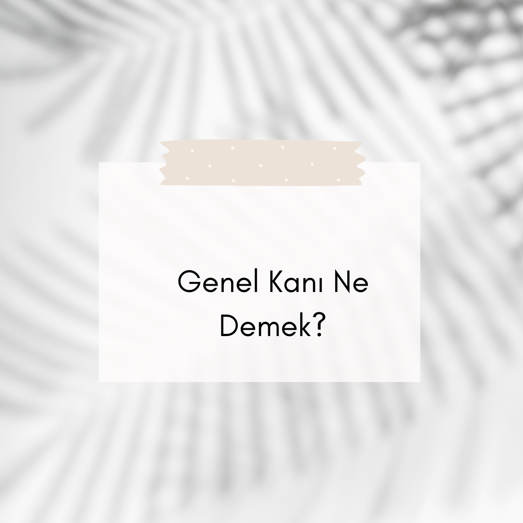 Genel Kanı Ne Demek? | Kelime Bulucu-Kelimelik Bulucusu-Nedir Nedemek -Zıt Anlamı-Eş Anlamı