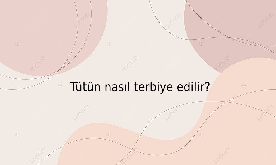 Tütün nasıl terbiye edilir? | Kelime Bulucu-Kelimelik Bulucusu-Nedir ...