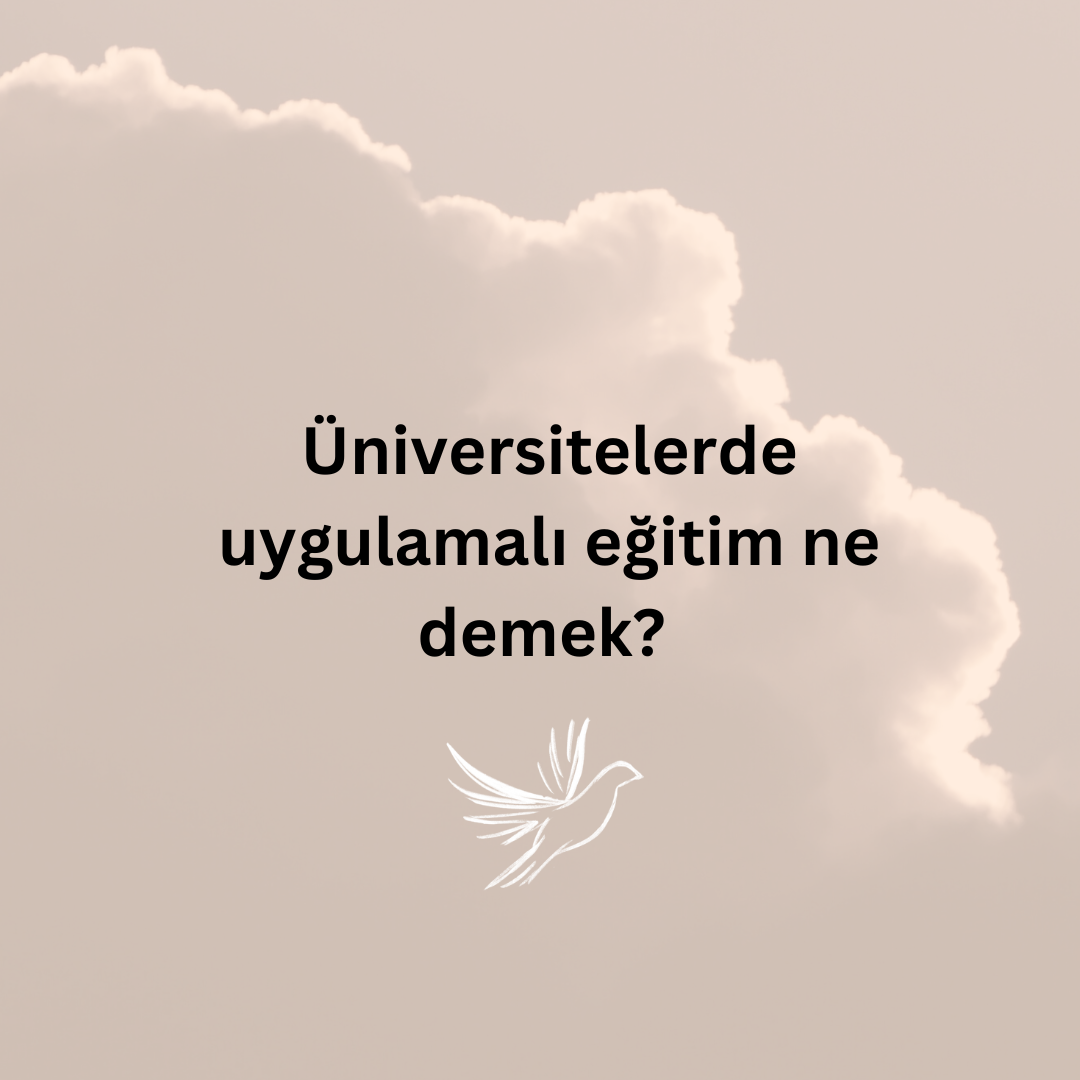 Üniversitelerde uygulamalı eğitim ne demek? | Kelime Bulucu-Kelimelik Bulucusu-Nedir Nedemek ...