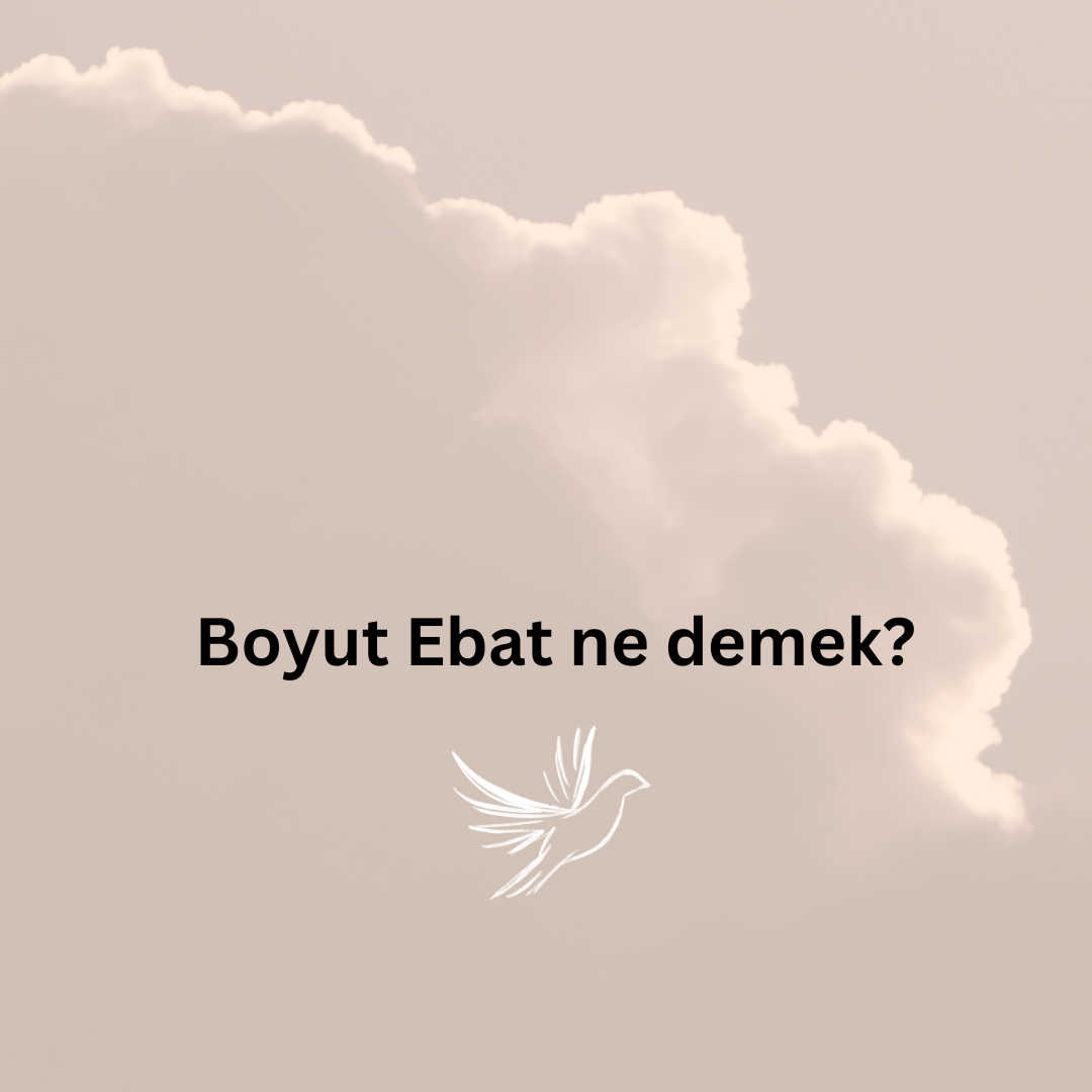 Boyut Ebat ne demek? | Kelime Bulucu-Kelimelik Bulucusu-Nedir Nedemek -Zıt Anlamı-Eş Anlamı