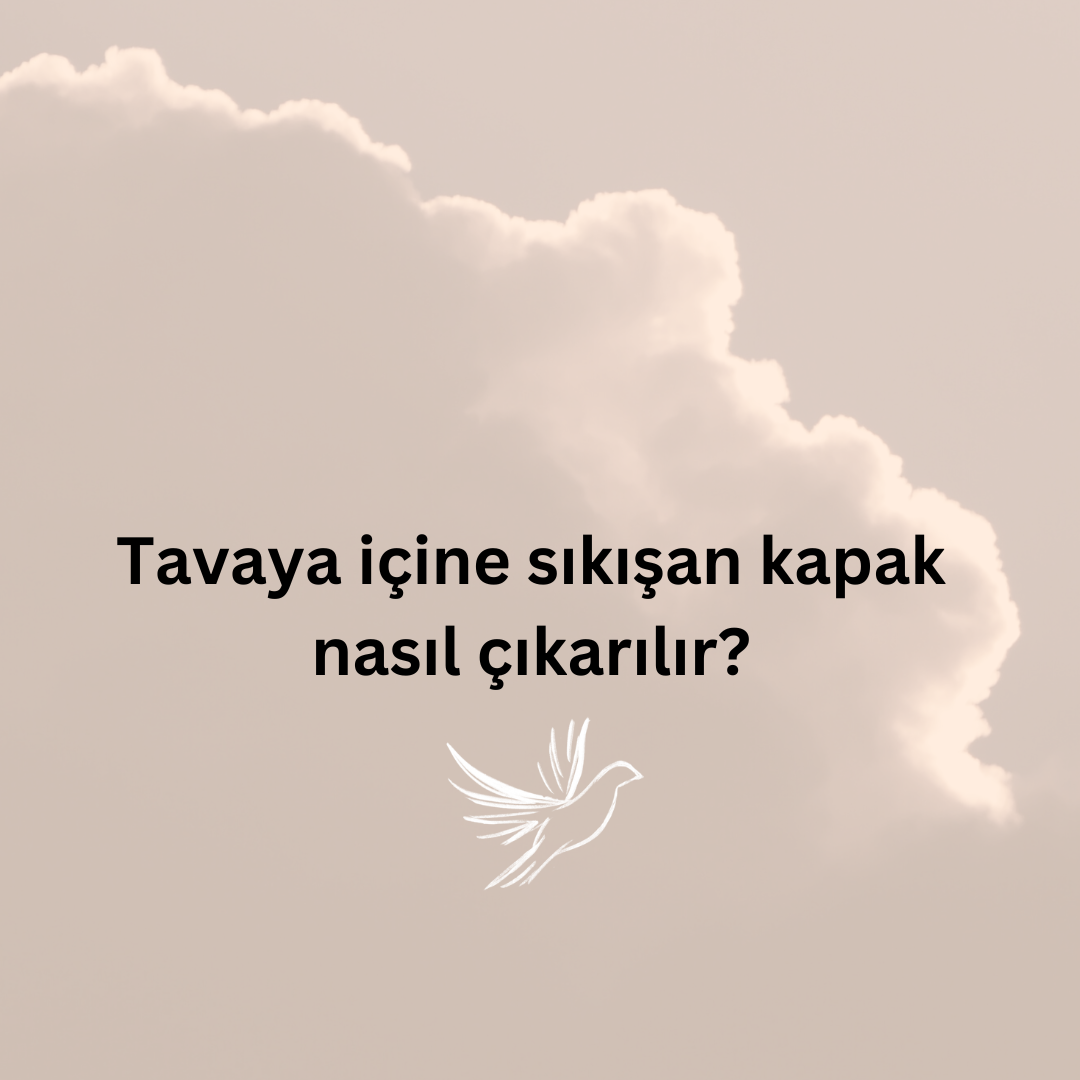 Tavaya içine sıkışan kapak nasıl çıkarılır? | Kelime Bulucu-Kelimelik ...