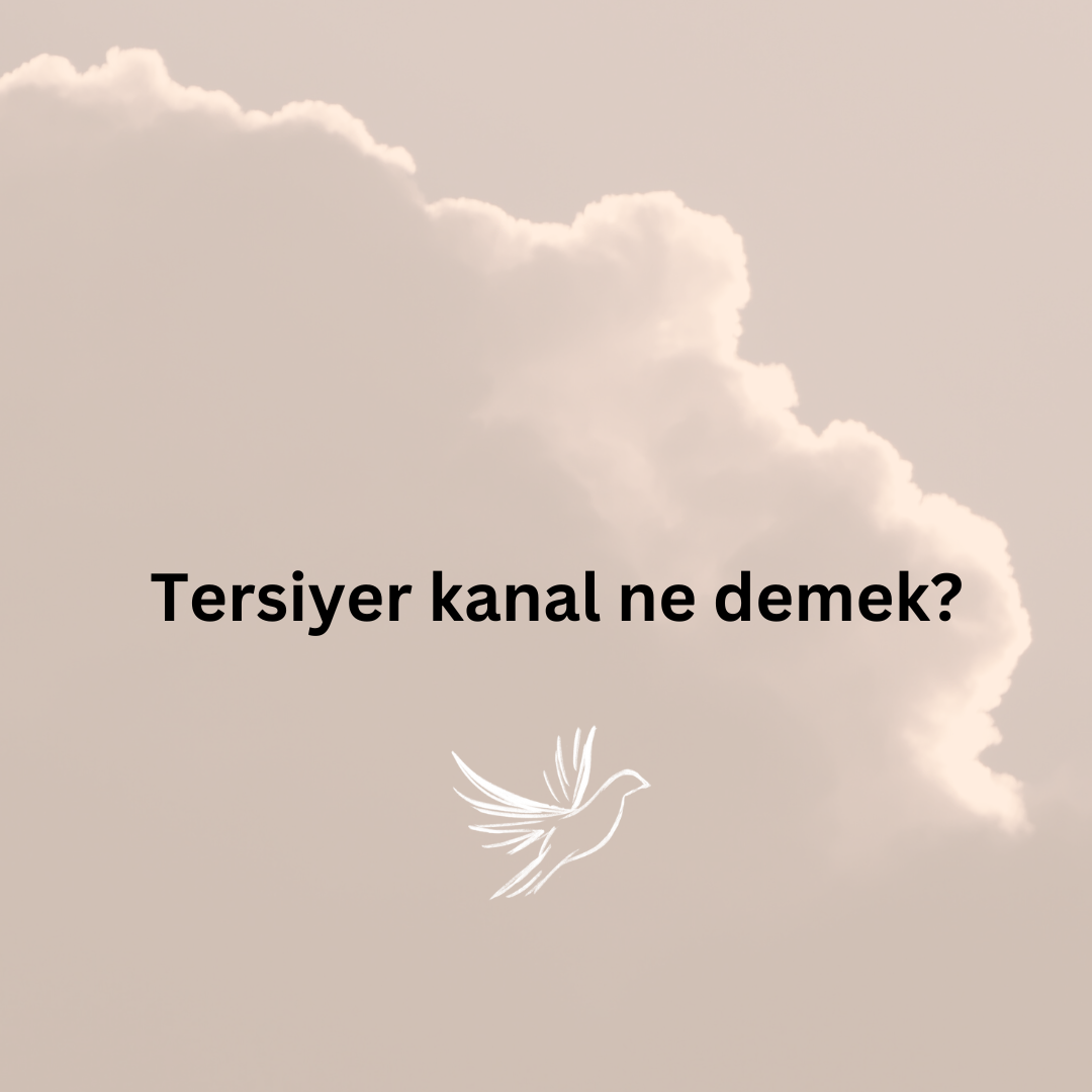 Tersiyer kanal ne demek? | Kelime Bulucu-Kelimelik Bulucusu-Nedir Nedemek -Zıt Anlamı-Eş Anlamı