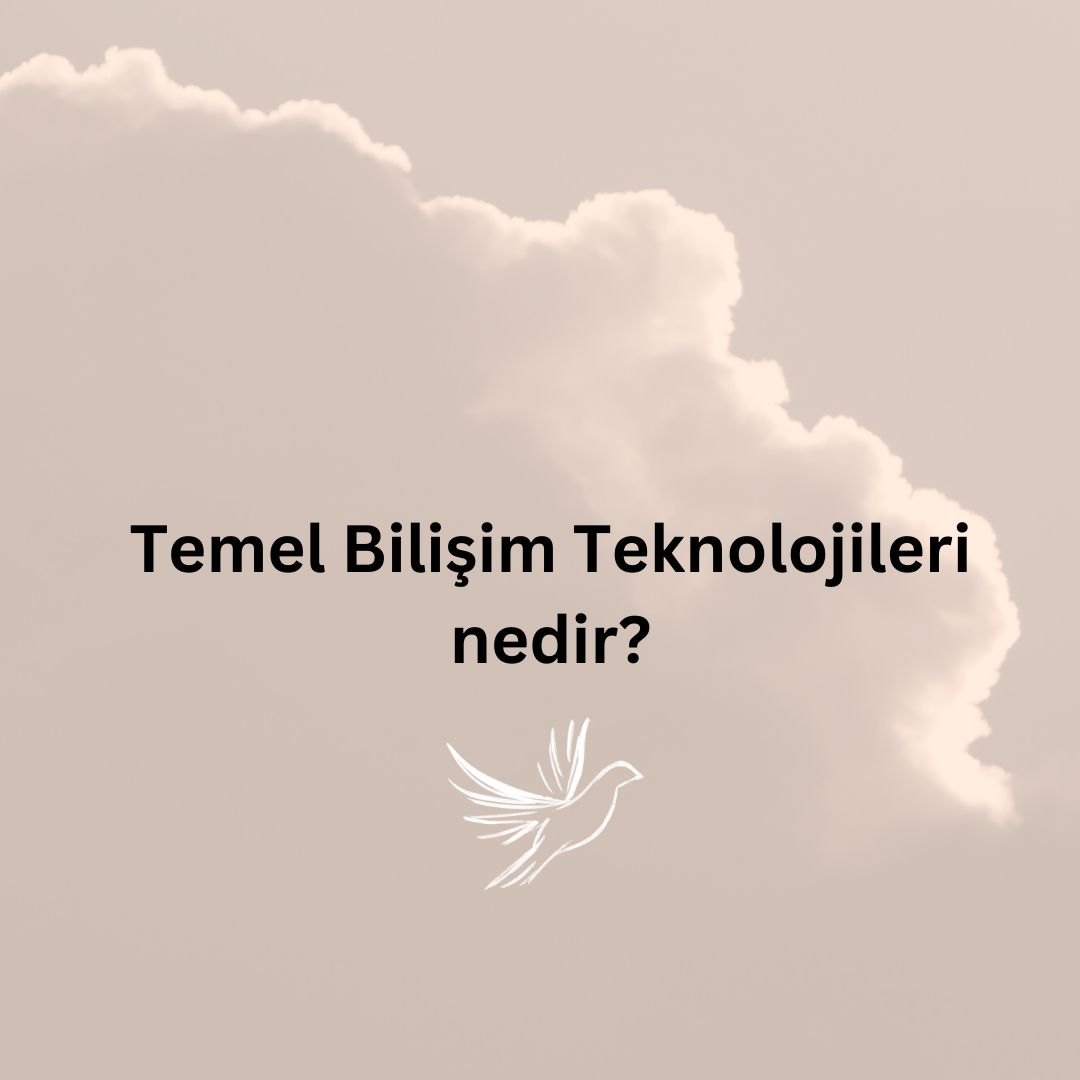 Temel Bilişim Teknolojileri nedir? - Ne Demek - Zıt Anlamı - Eş Anlamı Temel Bilişim Teknolojileri nedir? - Ne Demek - Zıt Anlamı - Eş Anlamı