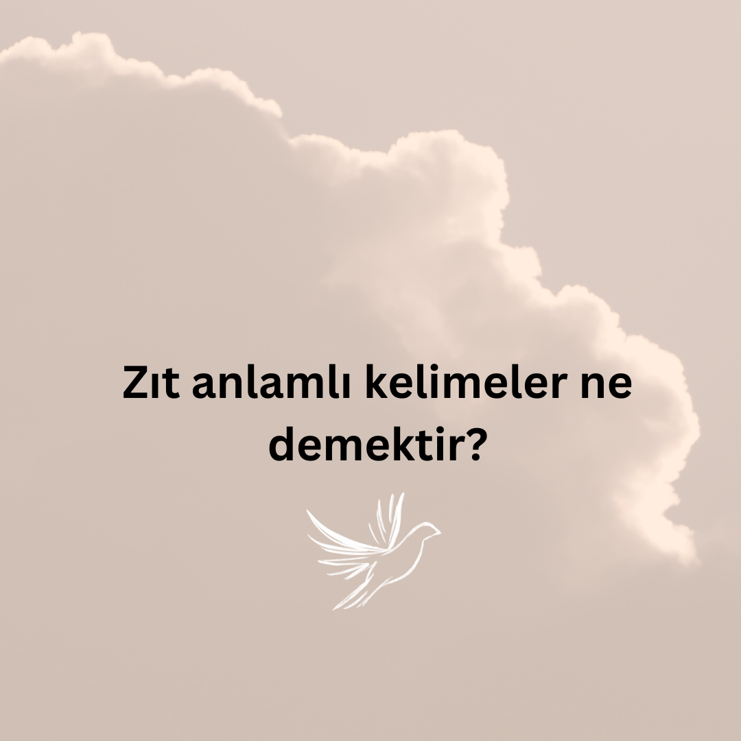 Zıt anlamlı kelimeler ne demektir? | Kelime Bulucu-Kelimelik Bulucusu-Nedir Nedemek -Zıt Anlamı ...