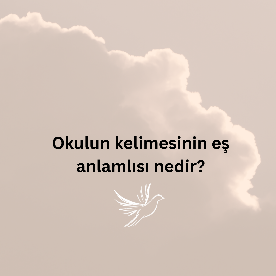 Okulun kelimesinin eş anlamlısı nedir? | Kelime Bulucu-Kelimelik Bulucusu-Nedir Nedemek -Zıt ...