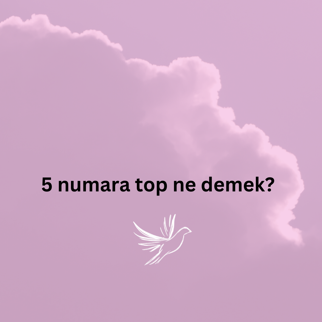 5 numara top ne demek? | Kelime Bulucu-Kelimelik Bulucusu-Nedir Nedemek ...
