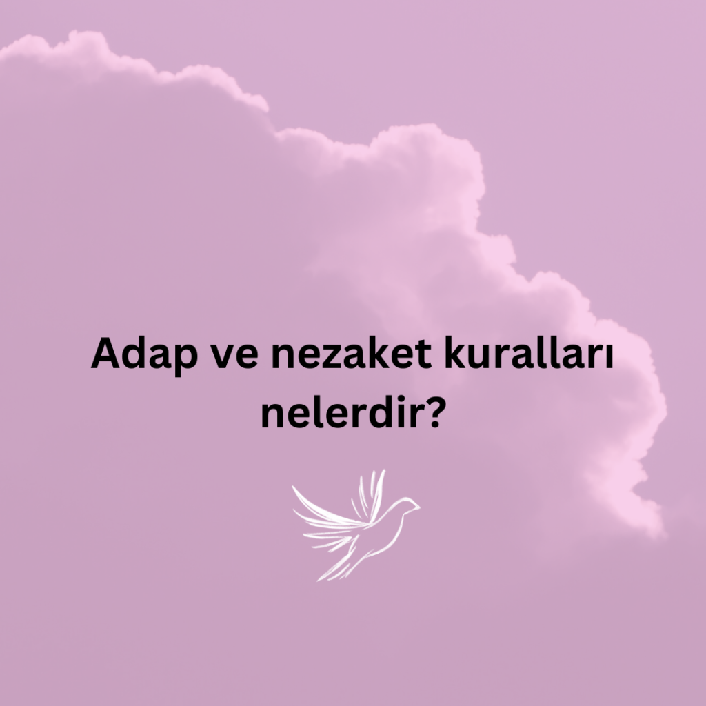 Adap ve nezaket kuralları nelerdir? - Ne Demek - Zıt Anlamı - Eş Anlamı Adap ve nezaket kuralları nelerdir? - Ne Demek - Zıt Anlamı - Eş Anlamı