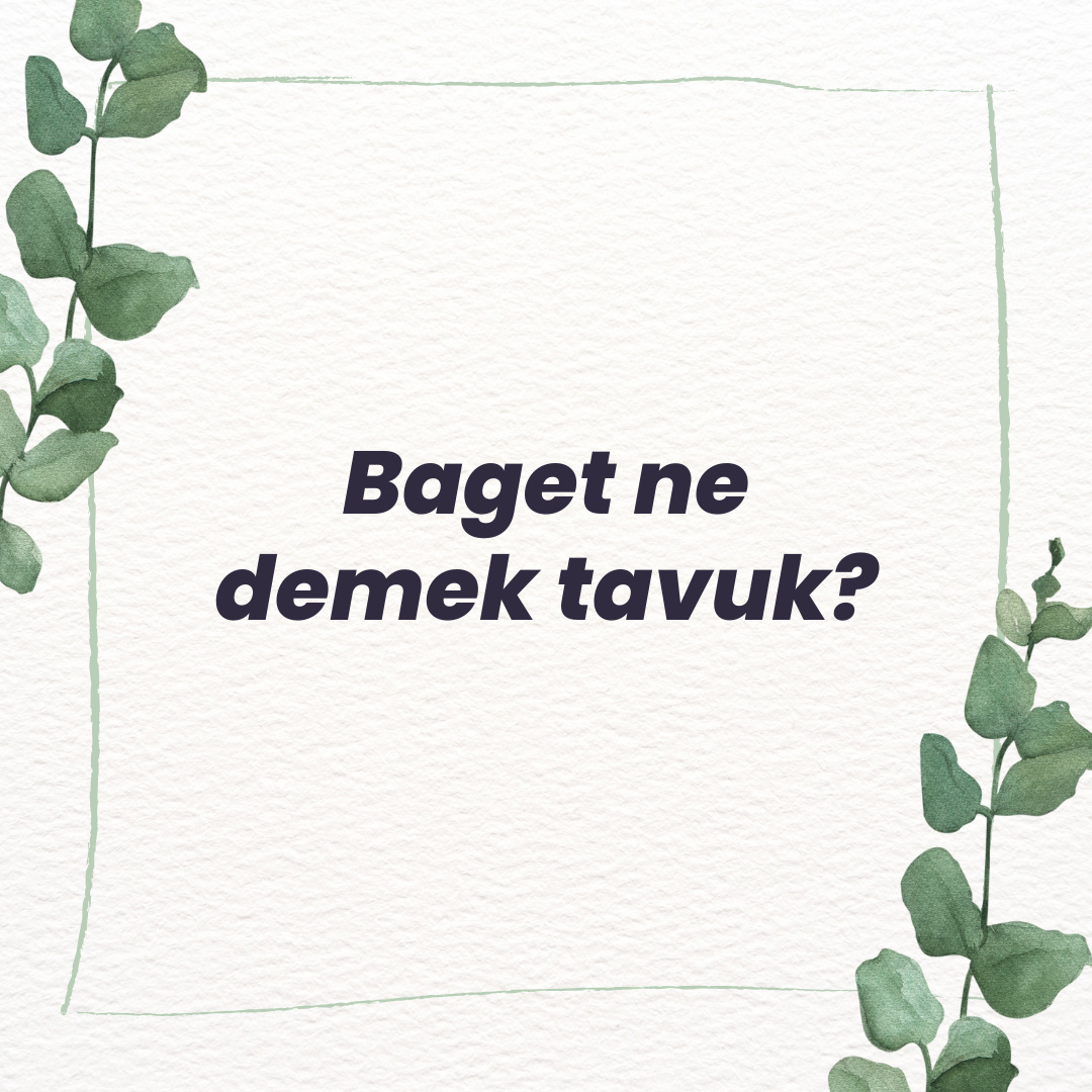 Baget ne demek tavuk? | Kelime Bulucu-Kelimelik Bulucusu-Nedir Nedemek -Zıt Anlamı-Eş Anlamı
