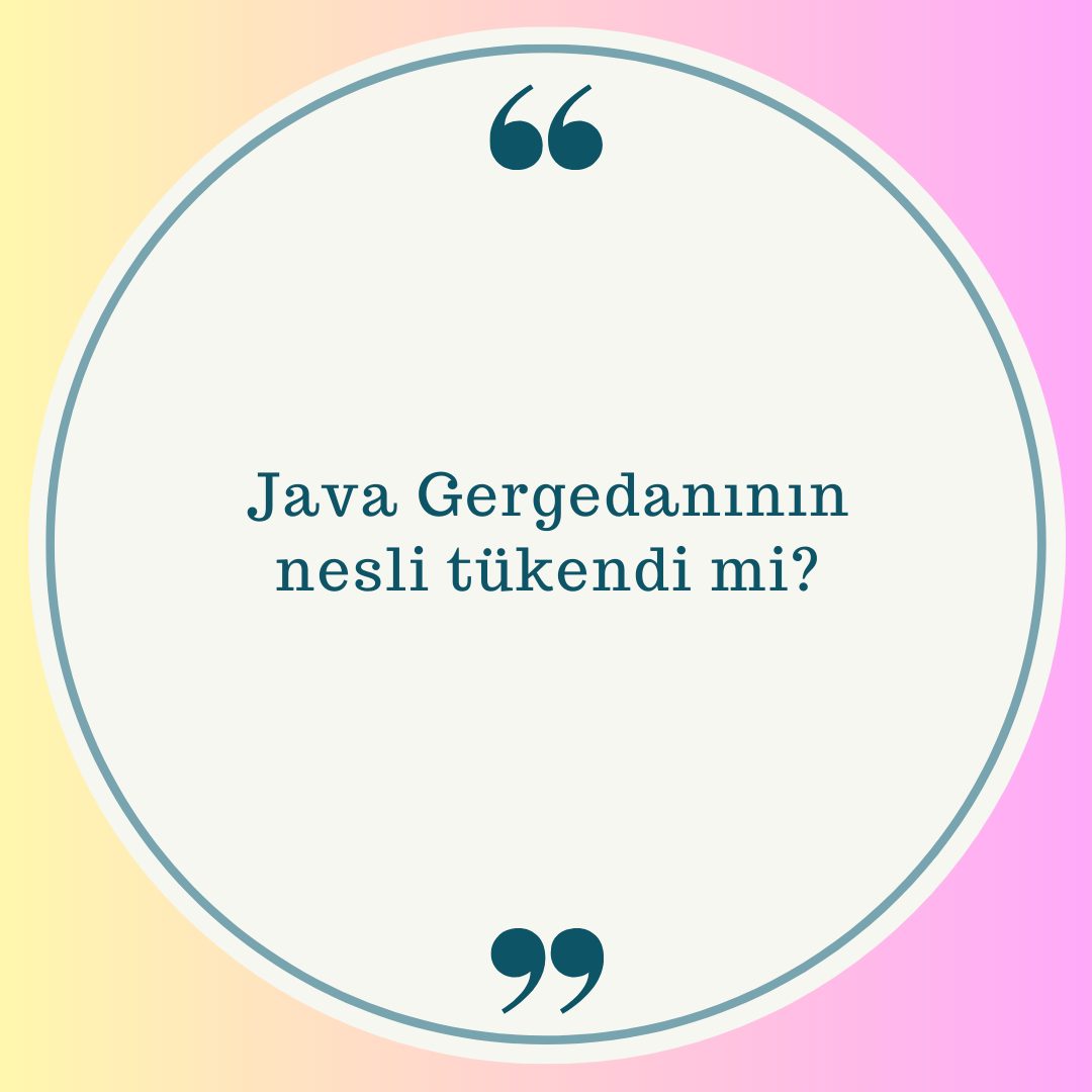 Java Gergedanının nesli tükendi mi? | Kelime Bulucu-Kelimelik Bulucusu ...
