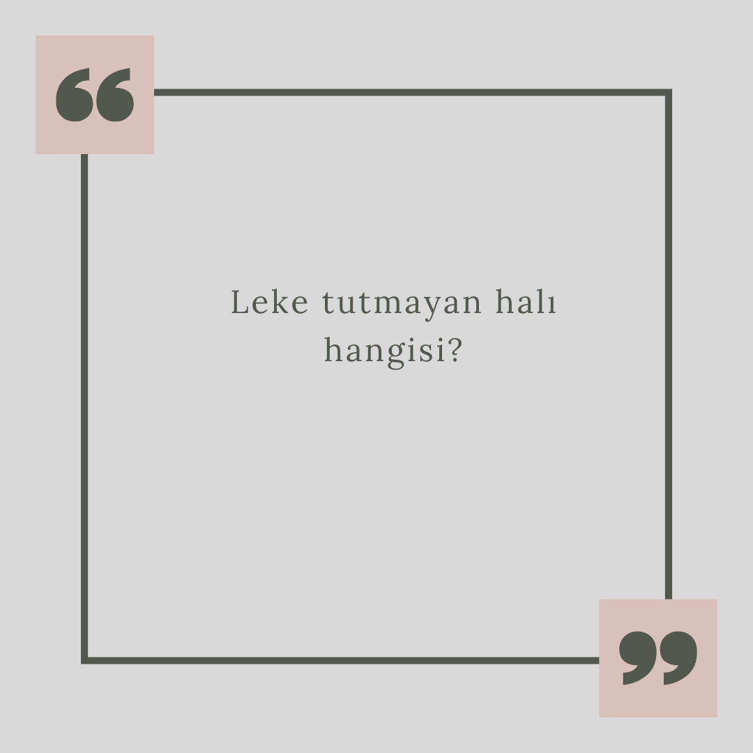 Leke tutmayan halı hangisi? - Ne Demek - Zıt Anlamı - Eş Anlamı
