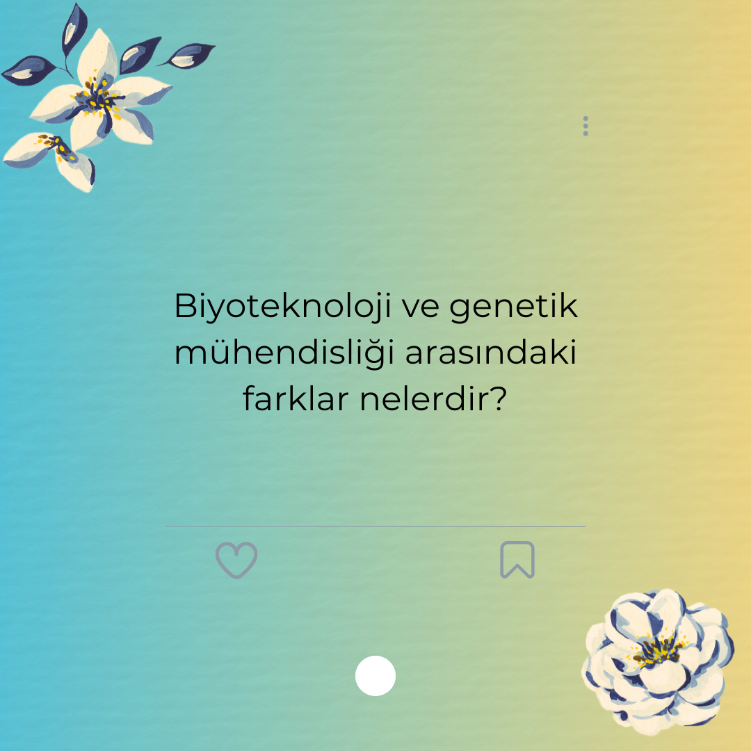 Biyoteknoloji ve genetik mühendisliği arasındaki farklar nelerdir? | Kelime Bulucu-Kelimelik ...