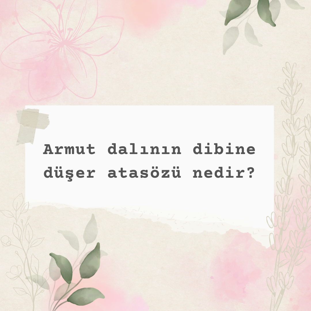 Armut dalının dibine düşer atasözü nedir? | Kelime Bulucu-Kelimelik Bulucusu-Nedir Nedemek -Zıt ...