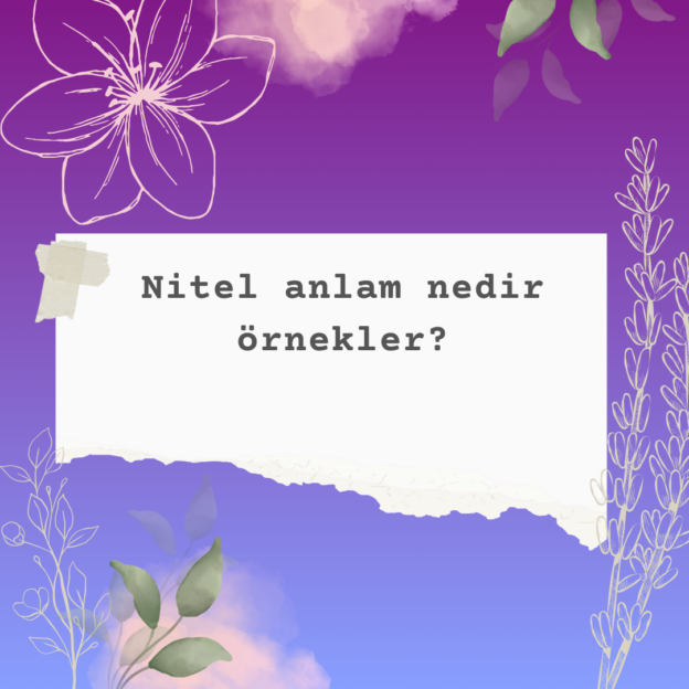 Nitel anlam nedir örnekler? | Kelime Bulucu-Kelimelik Bulucusu-Nedir Nedemek -Zıt Anlamı-Eş Anlamı