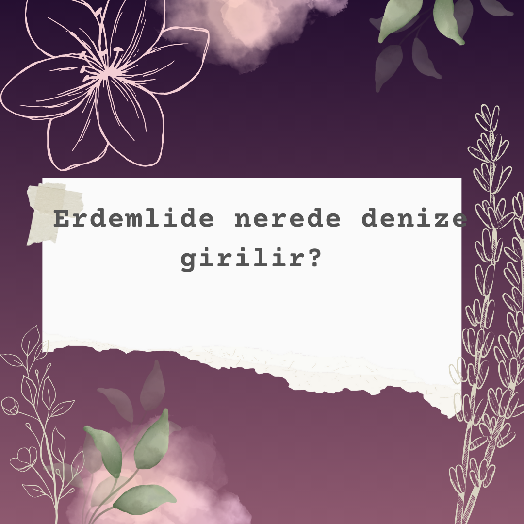 Erdemlide nerede denize girilir? | Kelime Bulucu-Kelimelik Bulucusu-Nedir Nedemek -Zıt Anlamı-Eş ...