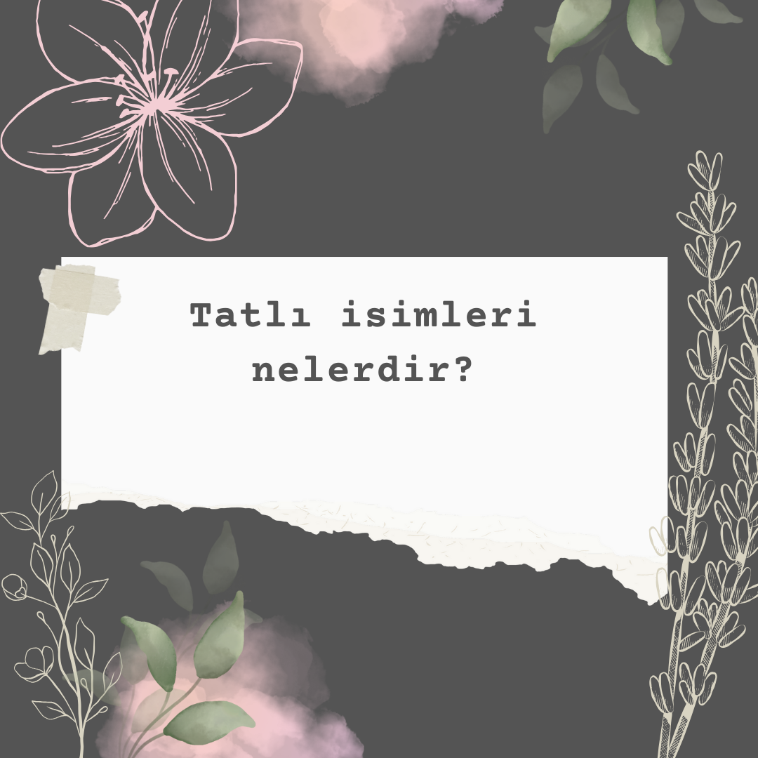 Tatlı isimleri nelerdir? | Kelime Bulucu-Kelimelik Bulucusu-Nedir Nedemek -Zıt Anlamı-Eş Anlamı
