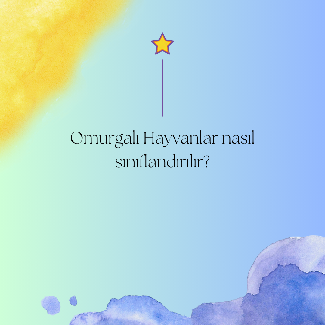 Omurgalı Hayvanlar nasıl sınıflandırılır? | Kelime Bulucu-Kelimelik ...